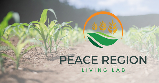 Peace Region Living Lab - Home