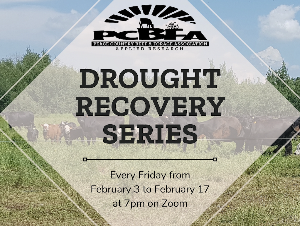Drought Recovery Series - Peace Region Living Lab